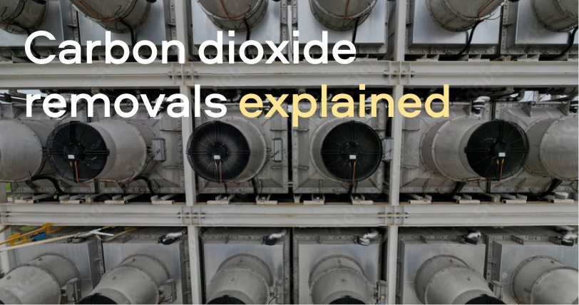 An overview of carbon dioxide removals